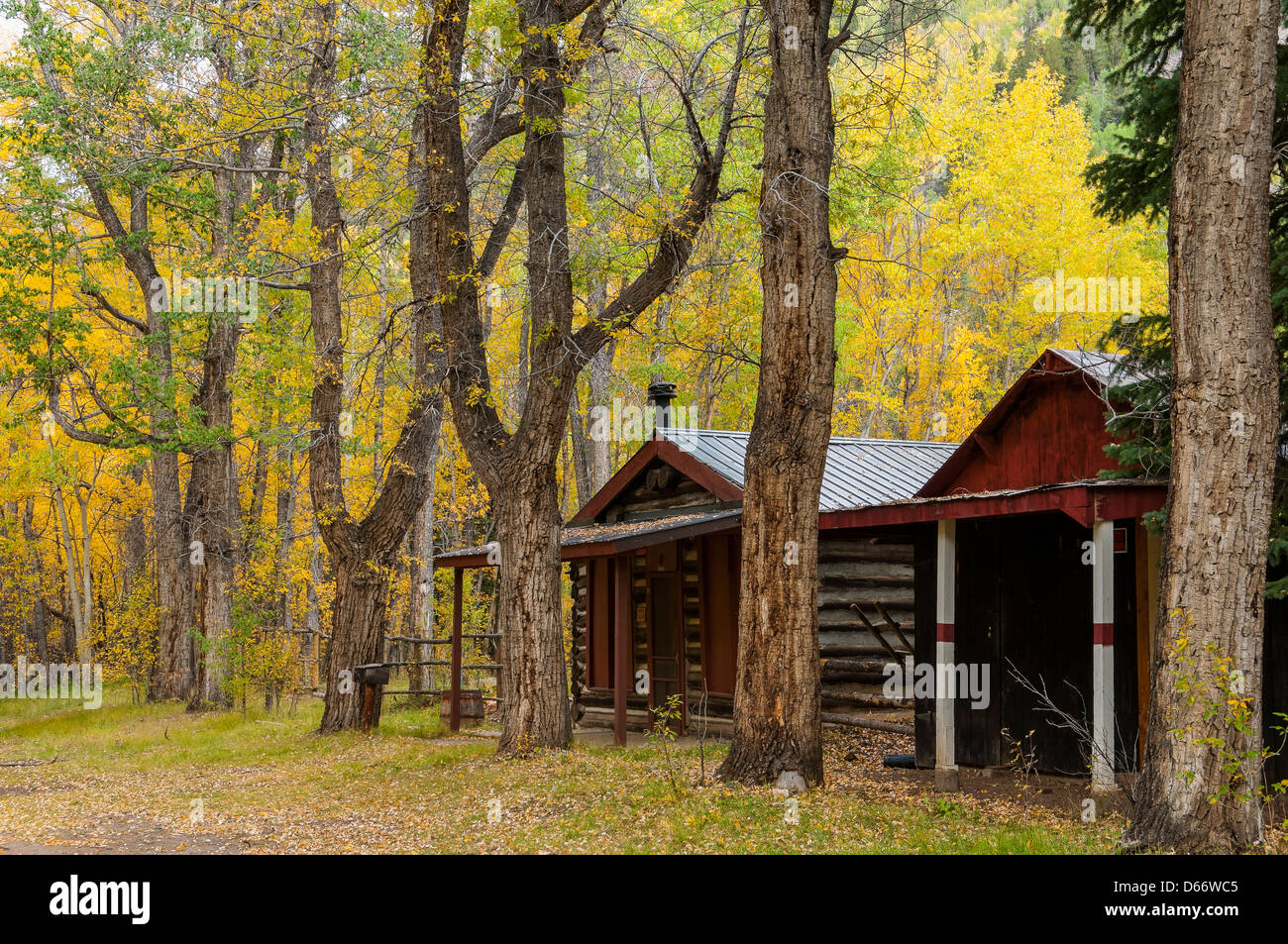 Cabins with autumn foliage, Vicksburg ghost town, Sawatch Mountains ...