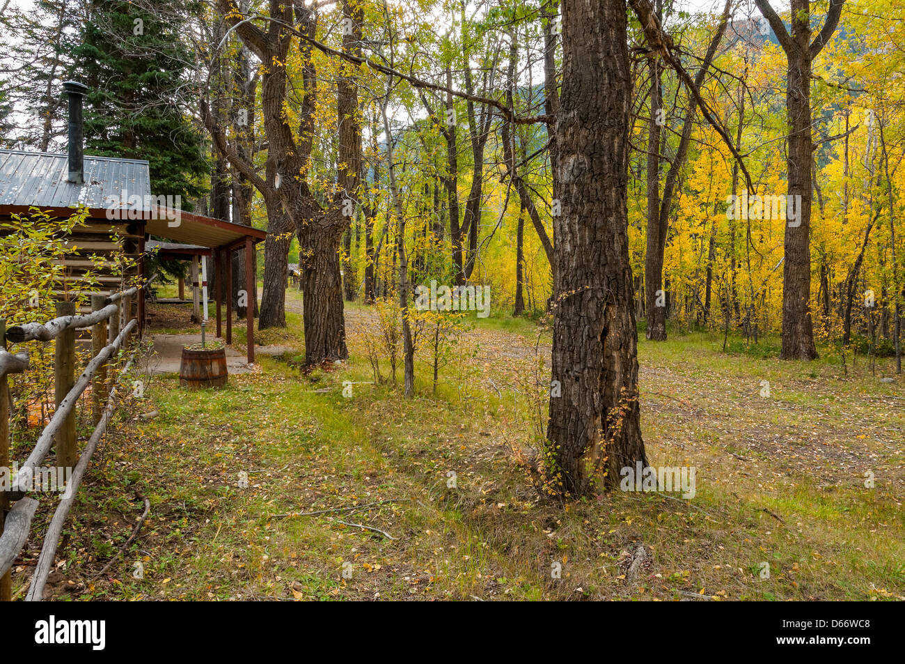 Cabin with autumn foliage, Vicksburg ghost town, Sawatch Mountains ...