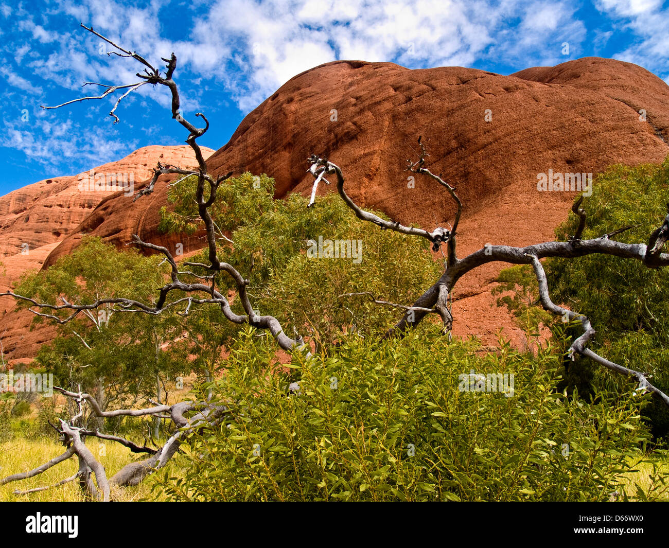 Kata Tjuta, (The Olgas), Northern Territory, Australia Stock Photo - Alamy