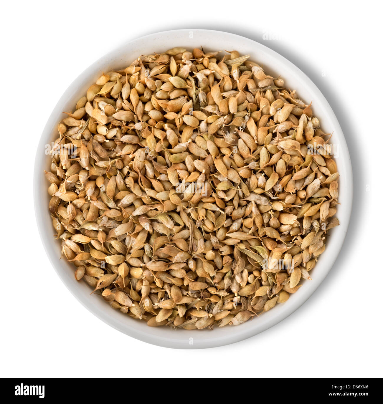 Utsho suneli Cut Out Stock Images & Pictures - Alamy