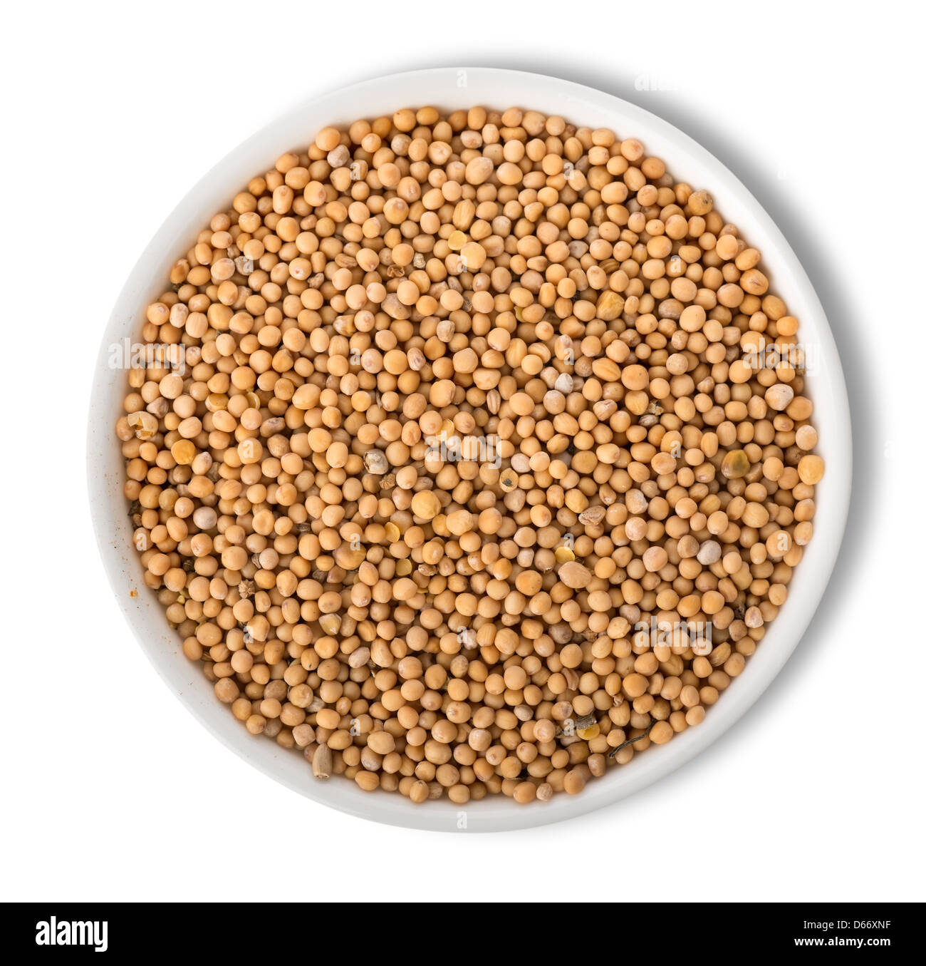 Asian mustard seeds hi-res stock photography and images - Alamy