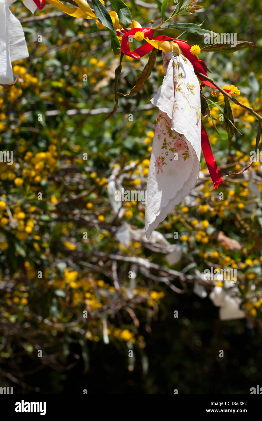 Cyprus, Europe - Wish tree at Aphrodite's Rock Stock Photo - Alamy