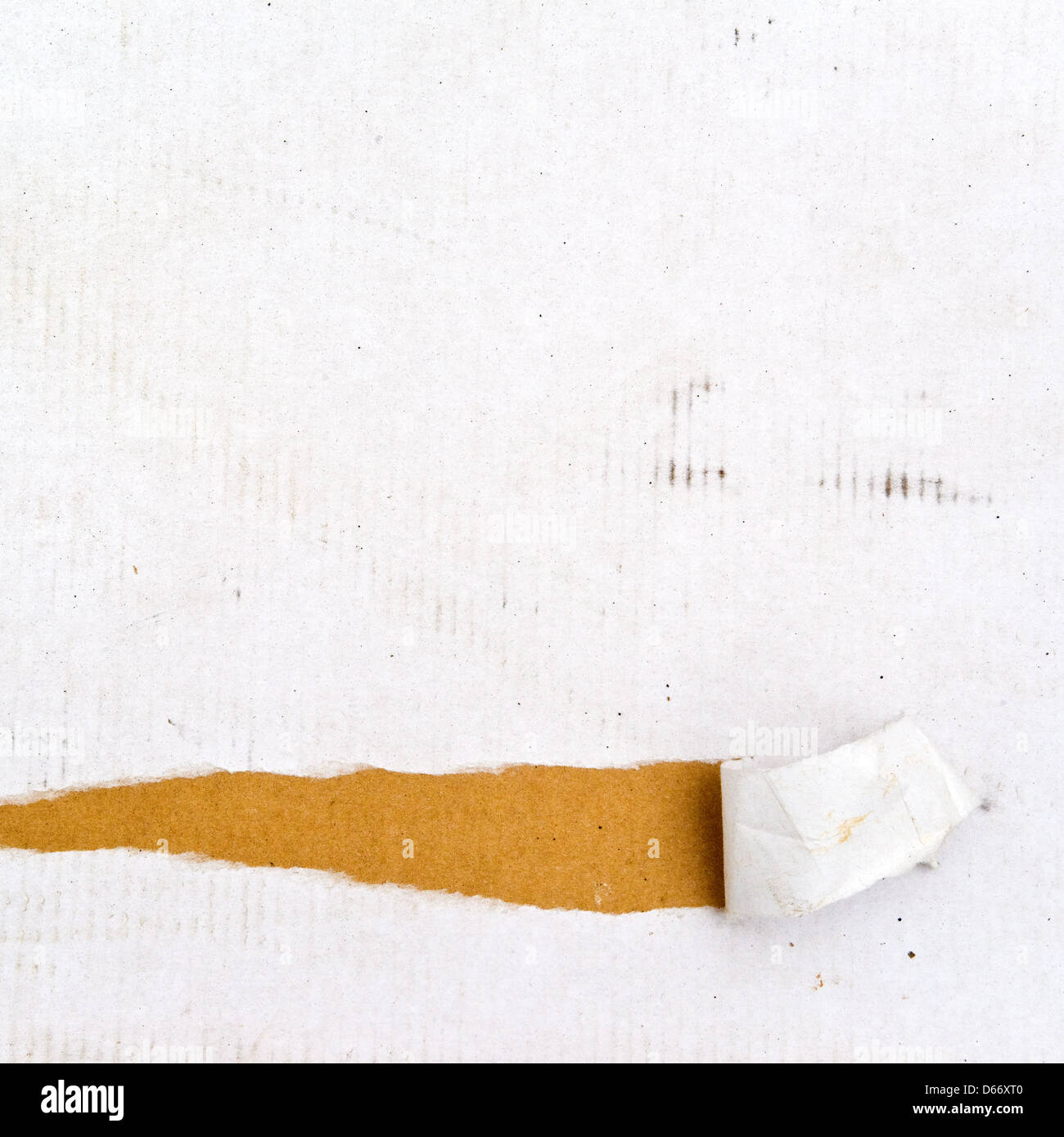 Torn dirty cardboard paper as a background for your design Stock Photo ...