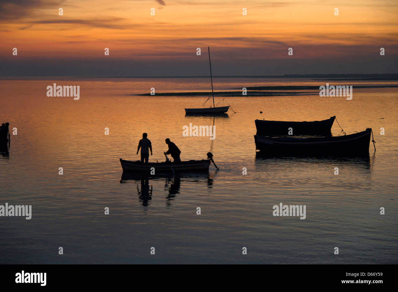 Bay of cadiz natural park hi-res stock photography and images - Alamy