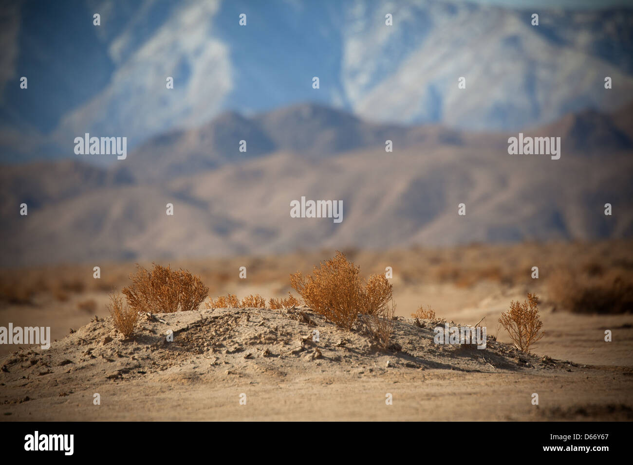 Apple Valley, California Stock Photo - Alamy