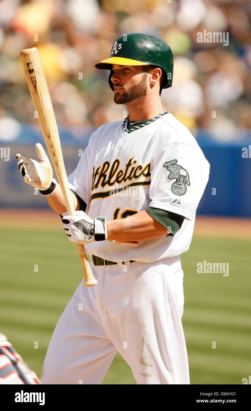 Parrino hi-res stock photography and images - Alamy