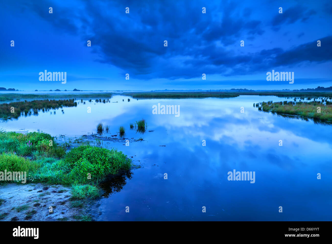 early blue calm morning dusk over swamp, Drenthe Stock Photo - Alamy