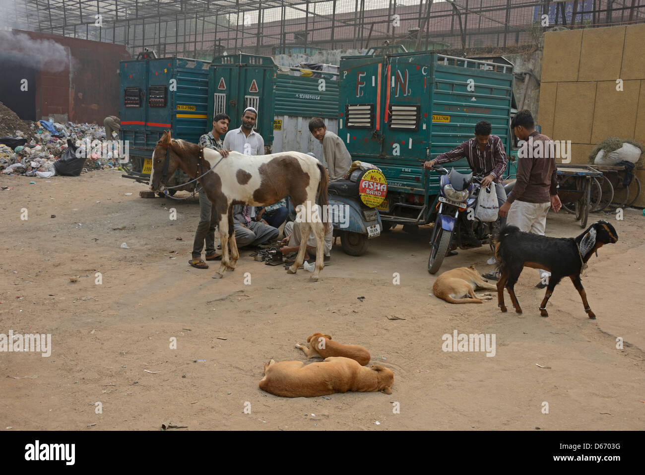 Old delhi delhi india indian slums delhi slums hi-res stock photography ...