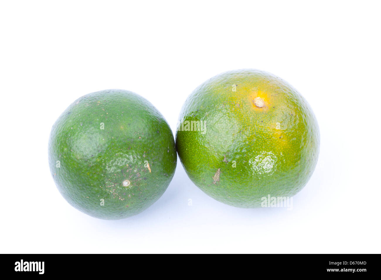 Two green lemon with isolated background Stock Photo - Alamy