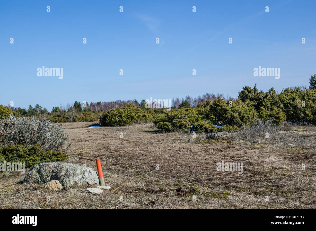 Marked trail at the Great Alvar Plain, an unique desert landscape on ...