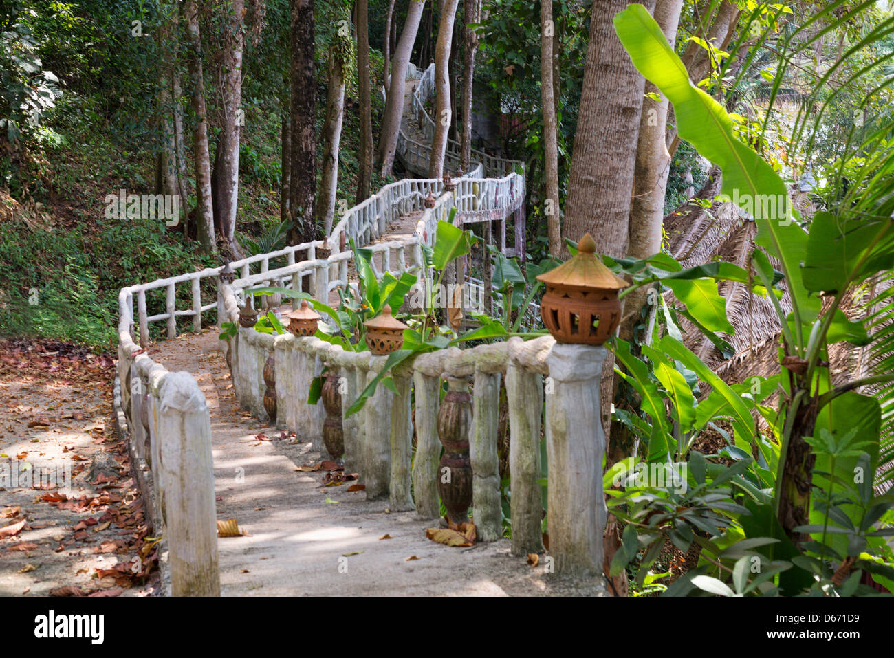 stone pathway with handrails in the jungle Thailand Stock Photo - Alamy