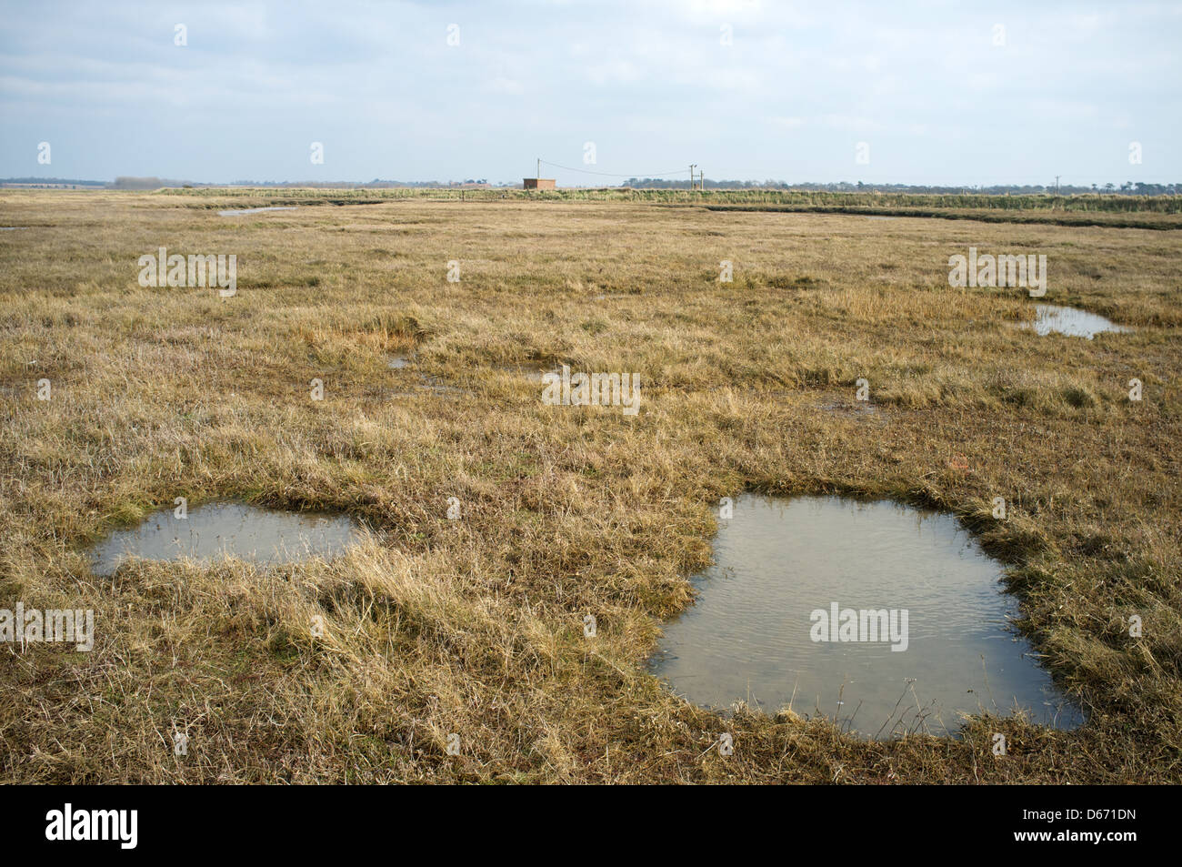 Ferry marshes hi-res stock photography and images - Alamy