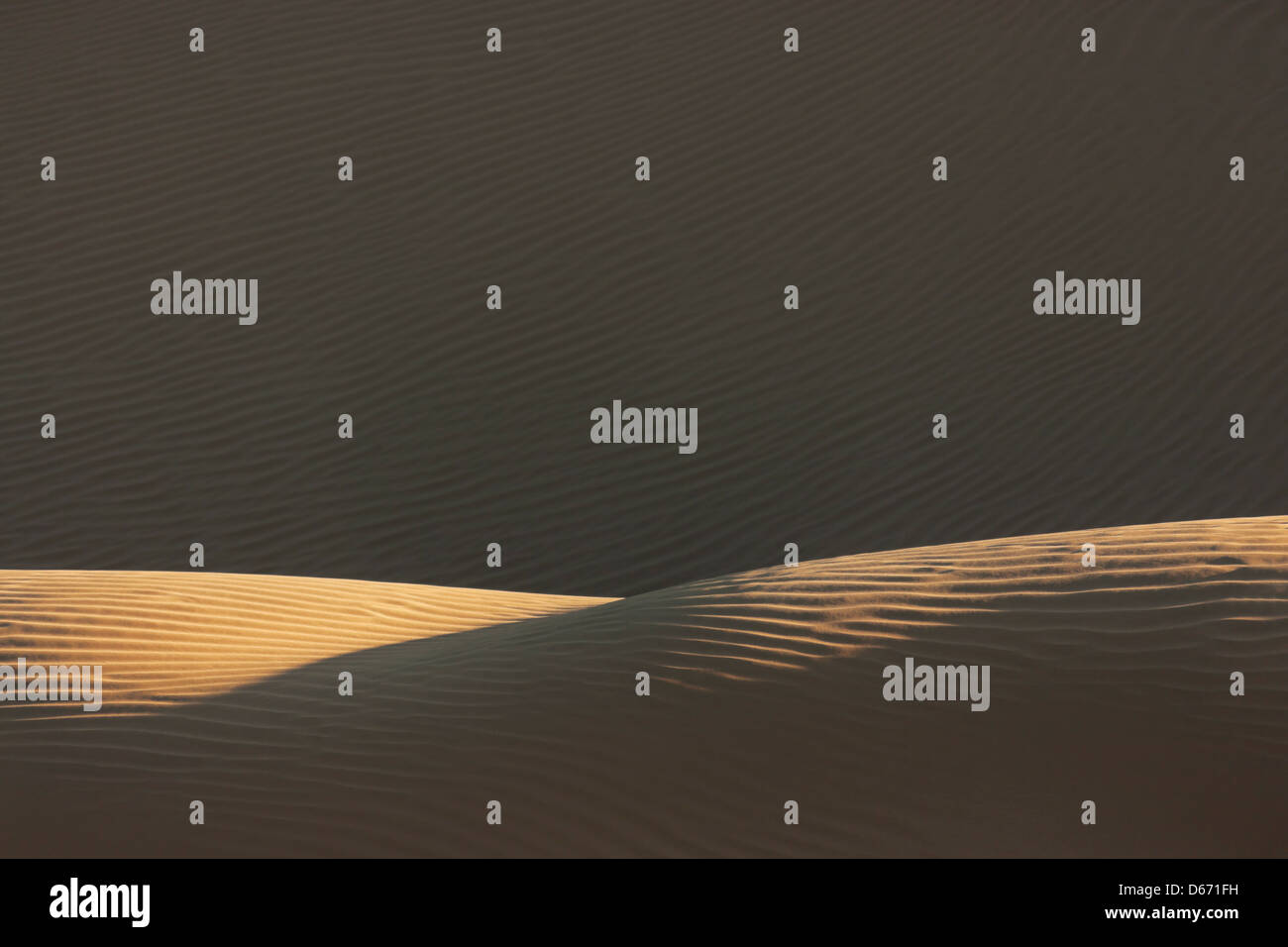 Sahara desert sand dunes with deep shadows Stock Photo - Alamy