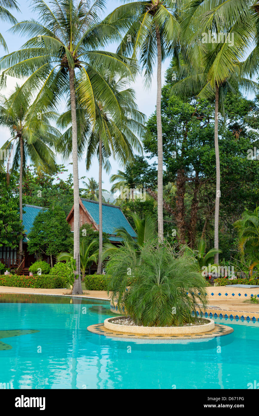 tropical swimming pool and palm tree Stock Photo - Alamy