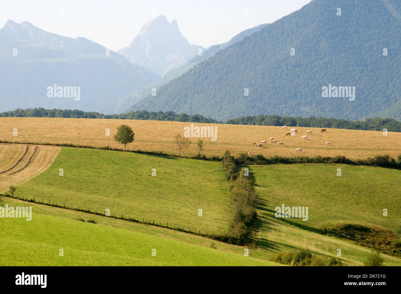 The foothills of the pyrenees hi-res stock photography and images - Alamy