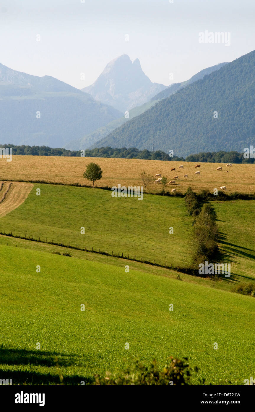 Farmland in the foothills of the Pyrenees near Pau Southwest France ...