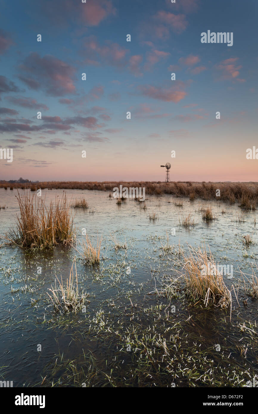 Sunrise Grass Marsh Trees High Resolution Stock Photography and Images ...