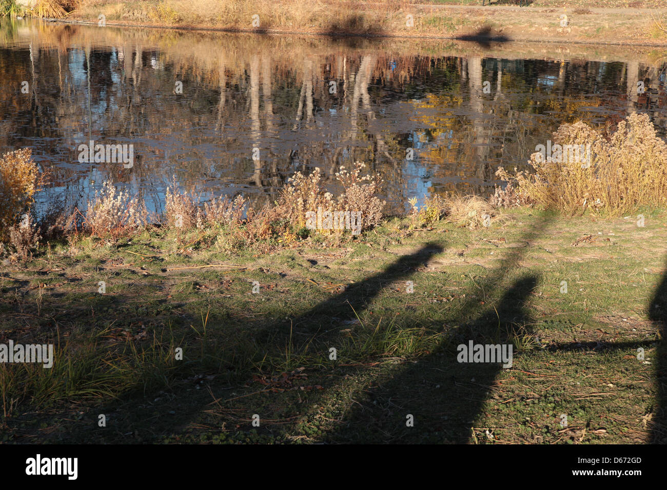 Smith Lake Reflections in Washington Park Denver Colorado Stock Photo ...