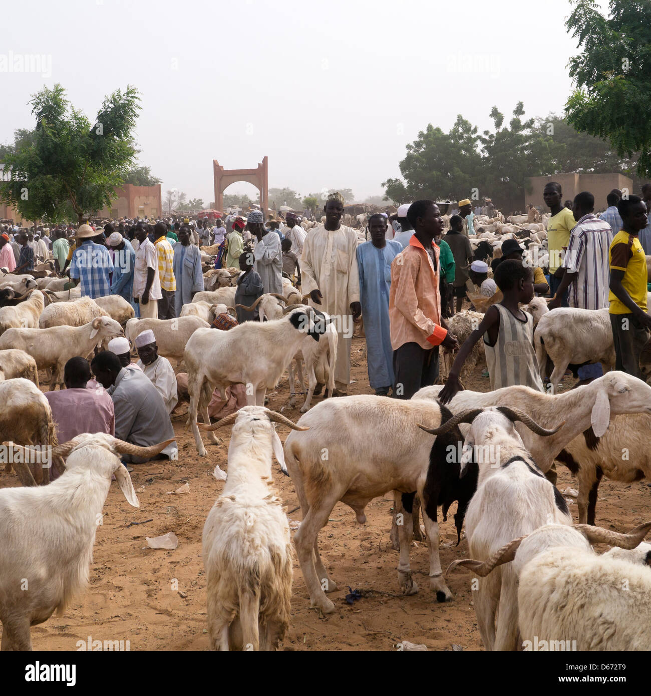 Zinder hi-res stock photography and images - Alamy