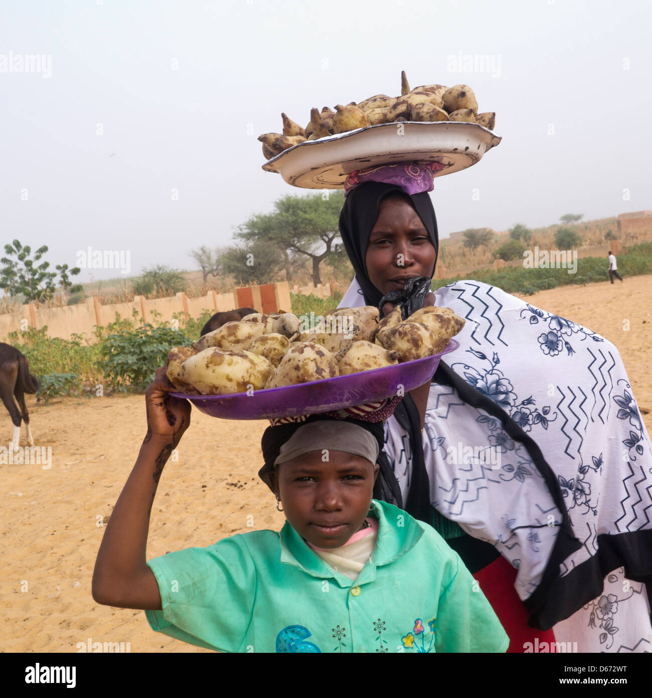 Zinder animal market, Niger Stock Photo - Alamy