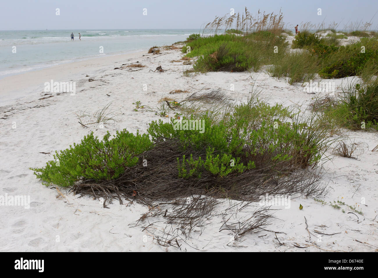 Lido Beach on St. Armand's Key near Sarasota Florida, USA Stock Photo ...