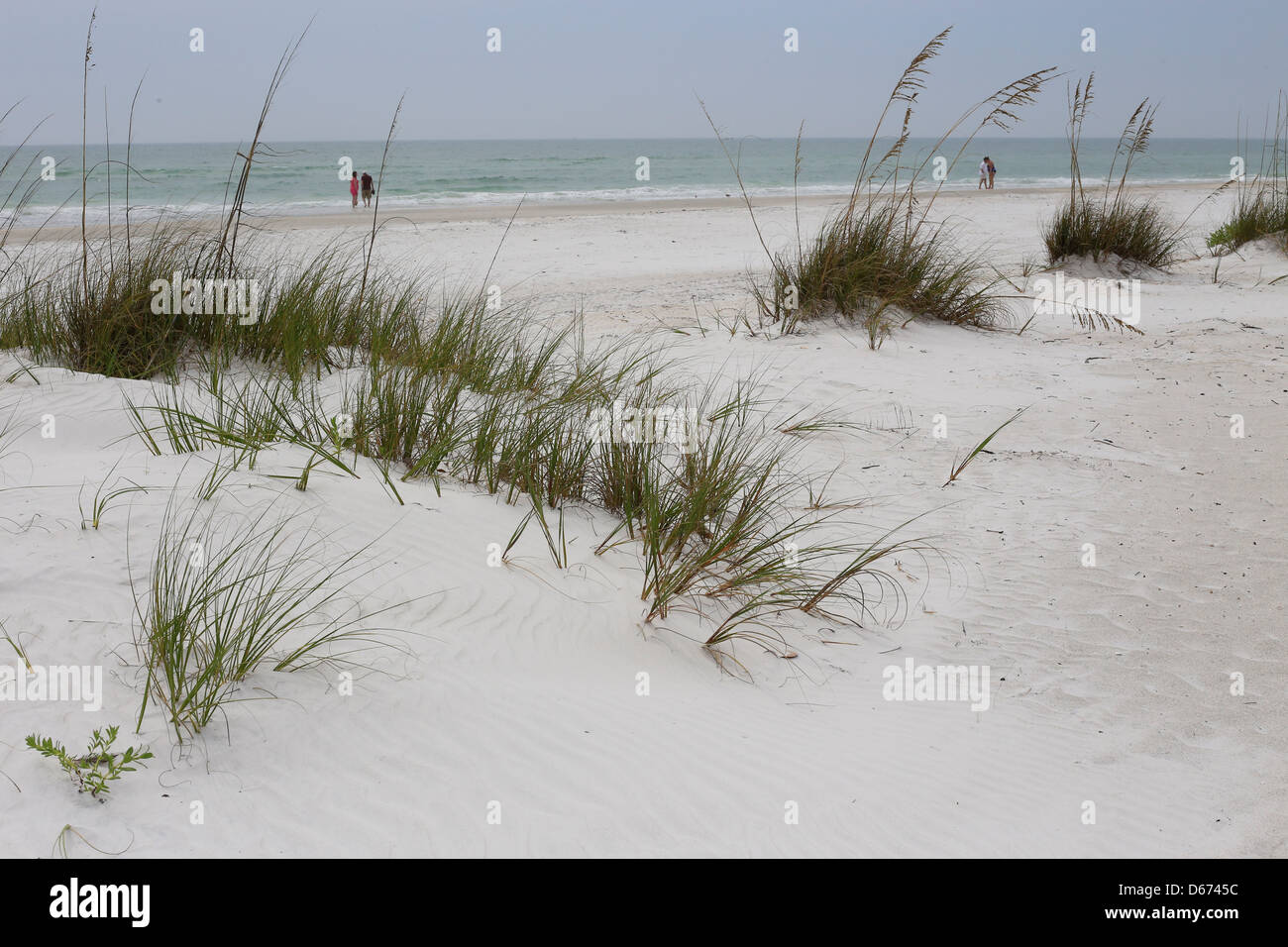 Lido Beach on St. Armands Key near Sarasota Florida, USA Stock Photo ...