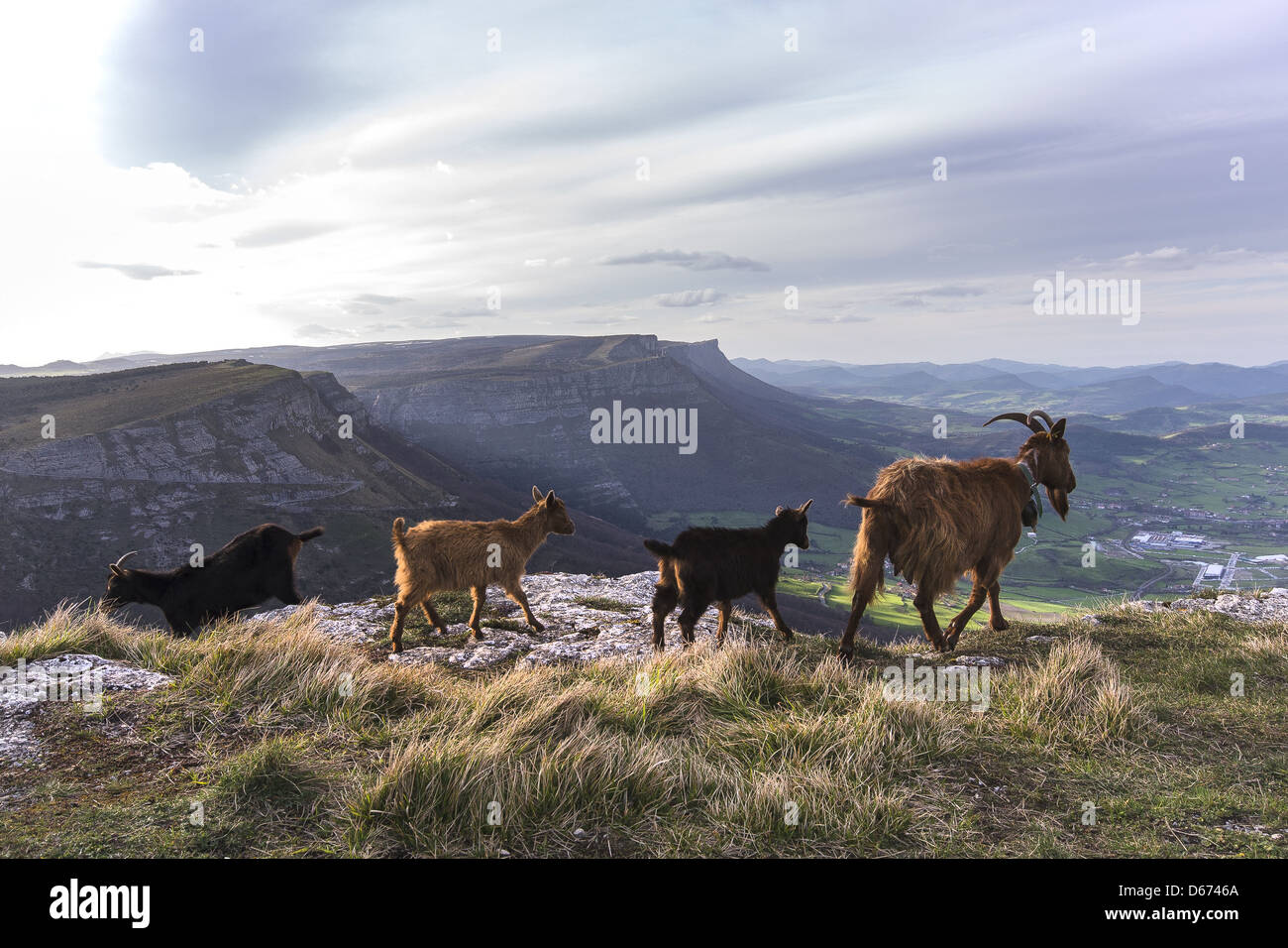 Family walking down mountain hi-res stock photography and images - Alamy