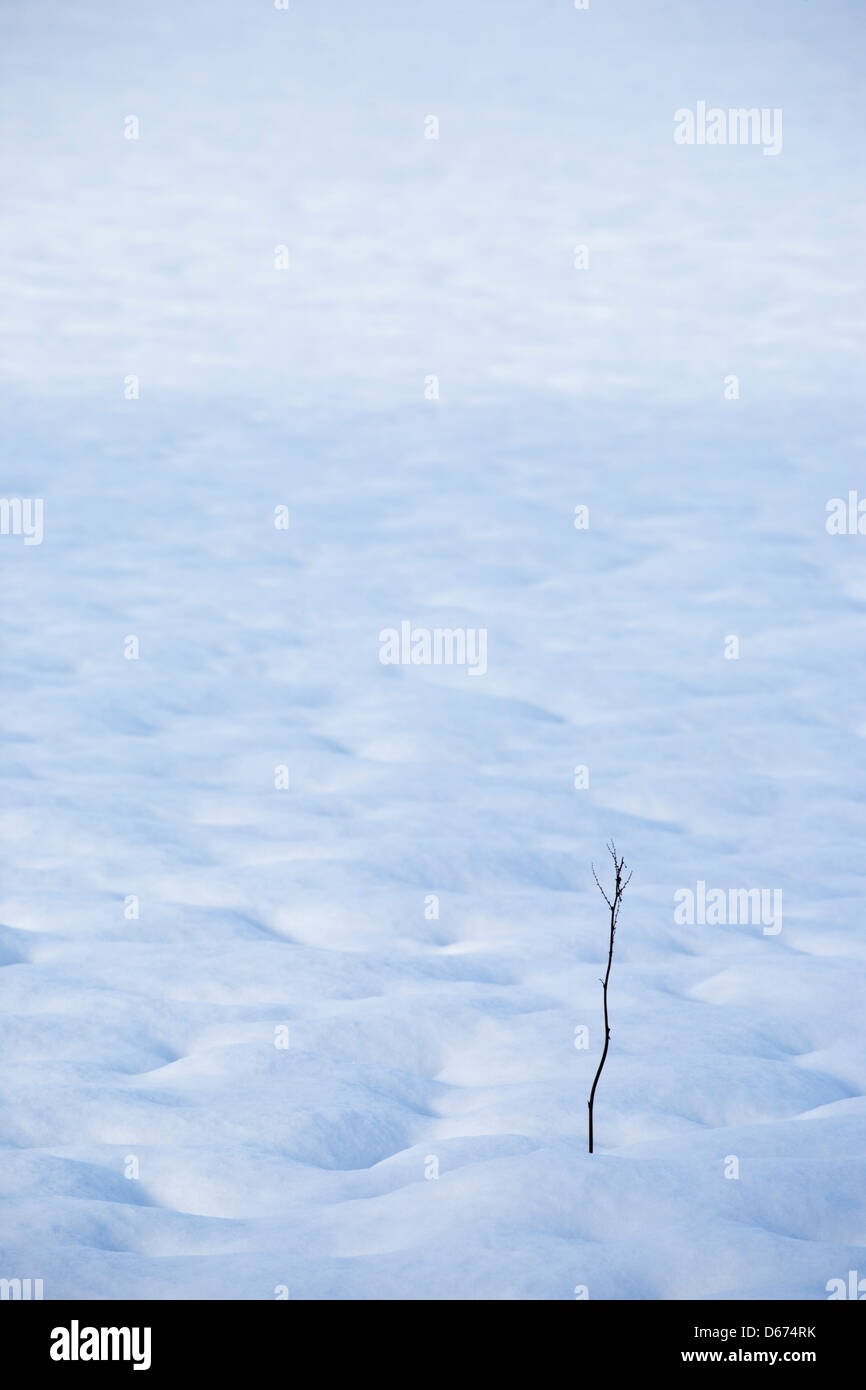 Blanket of snow hi-res stock photography and images - Alamy