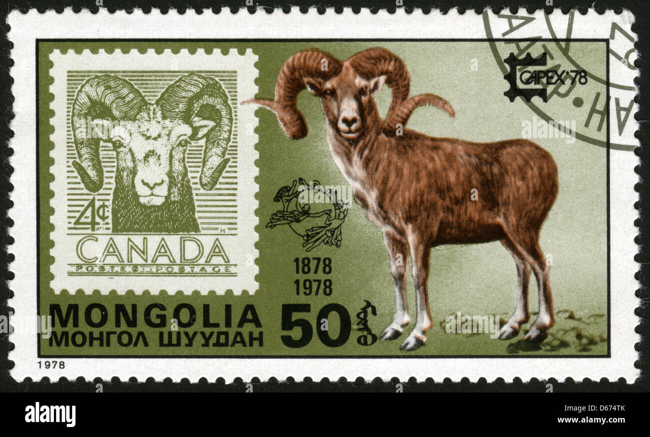 Mountain sheep illustrations hi-res stock photography and images - Alamy