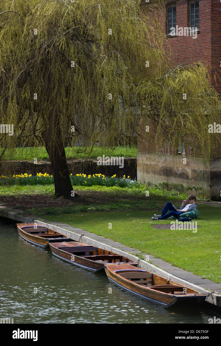Cambridge, UK. 14 March 2013. The temperature in Cambridge today has ...