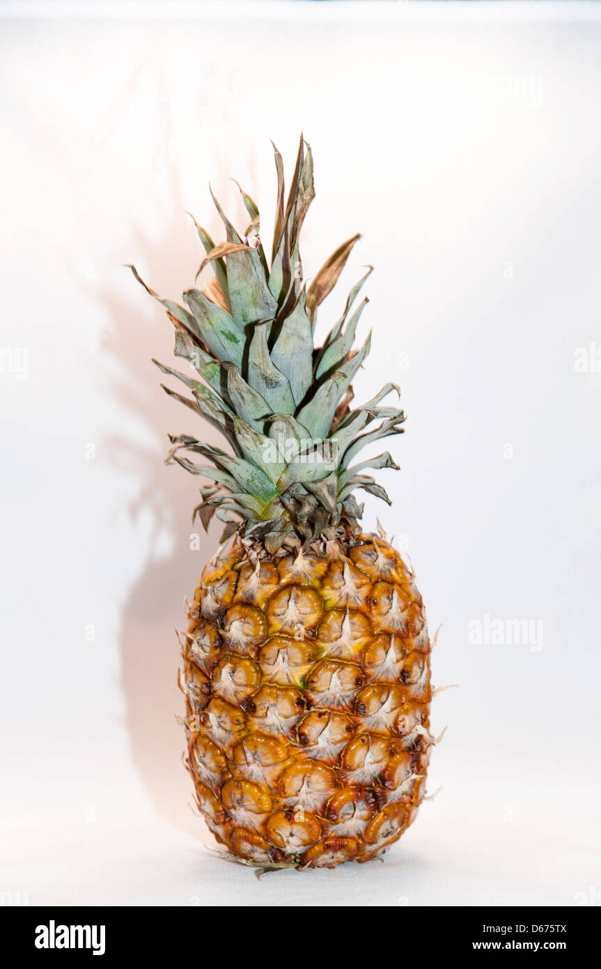 Eat the rich hi-res stock photography and images - Alamy
