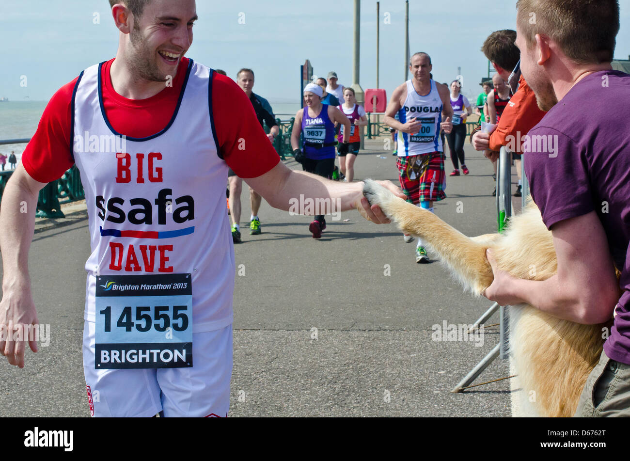 Four legged runner hi-res stock photography and images - Alamy