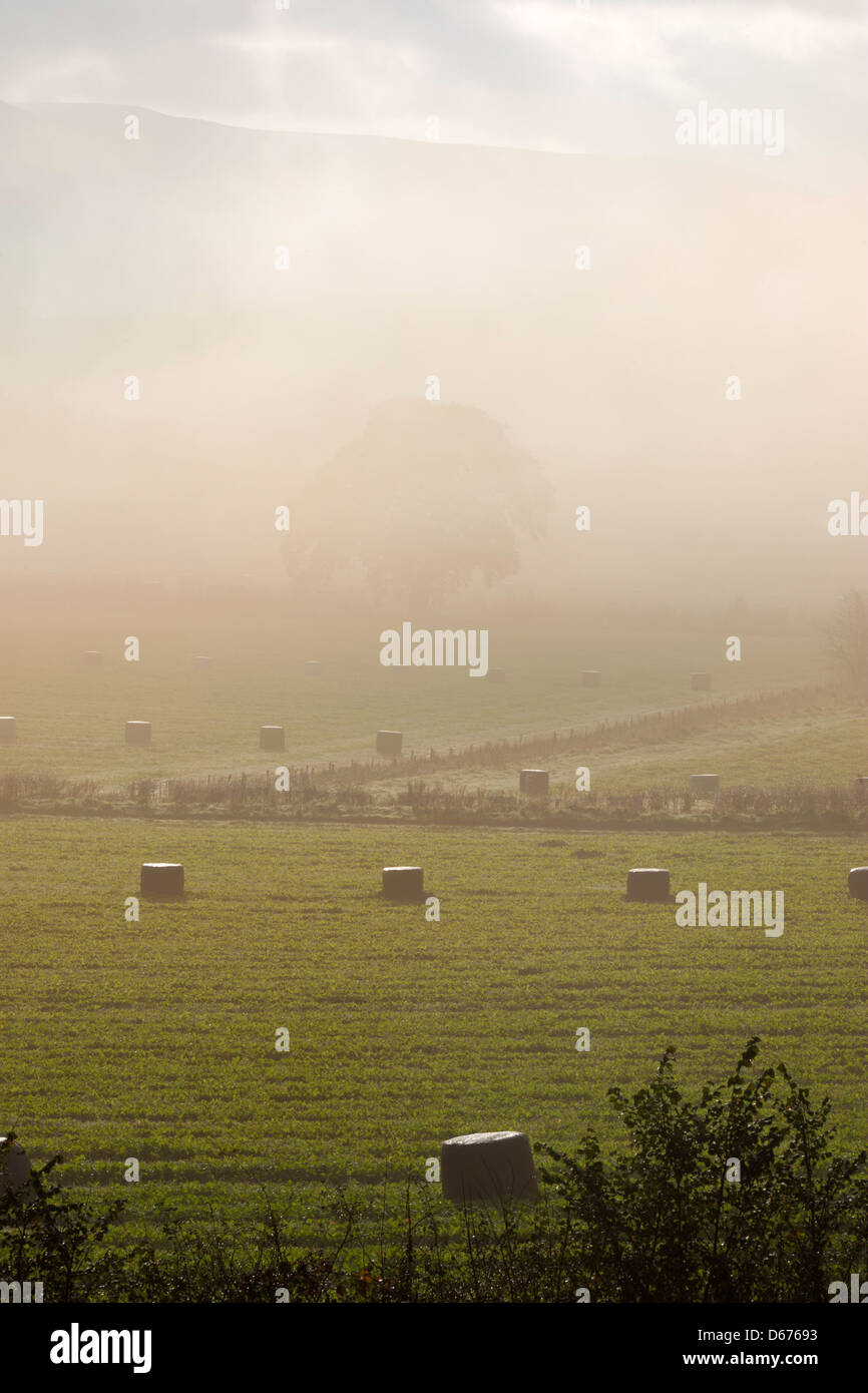 Landscape view across arable land with haystacks and a mist obscured ...
