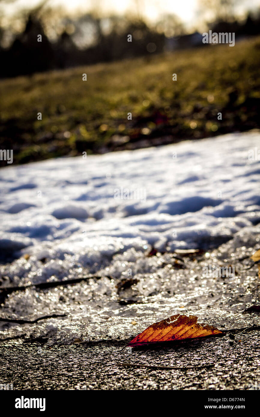 Leaf On Ground as Snow Melts in Early Spring Stock Photo - Alamy