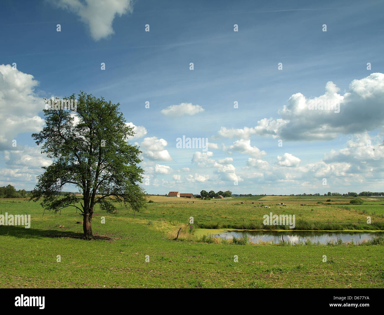 Summer, rural landscape Stock Photo - Alamy
