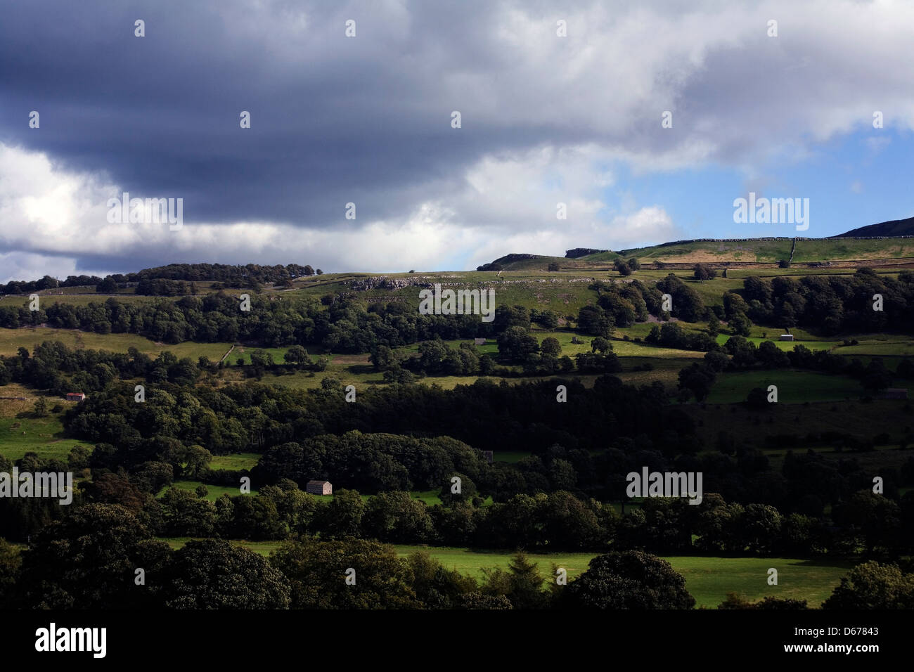 Carperby hi-res stock photography and images - Alamy