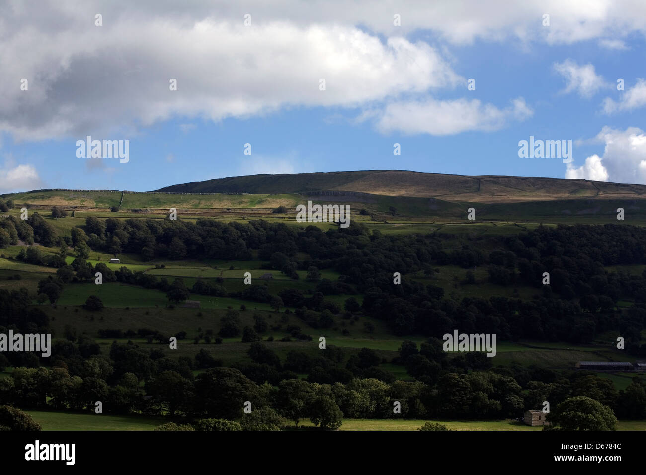 Carperby hi-res stock photography and images - Alamy