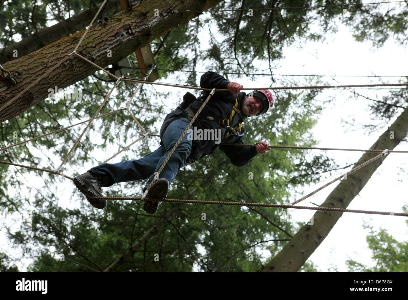 A man on the ropes course at Tree Top Adventure in Snowdonia National ...