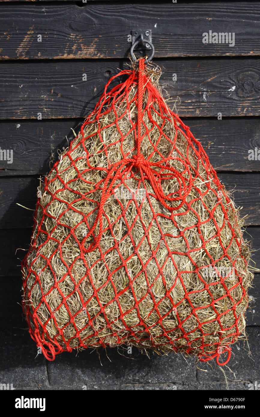 haynet filled with hay and hung up with the correct a safety knot so ...