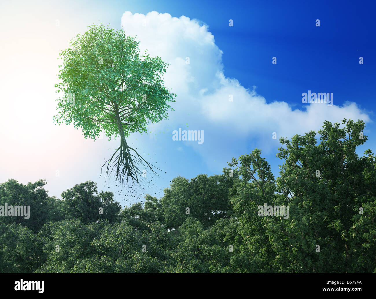 A tree flying away into the sky Stock Photo - Alamy