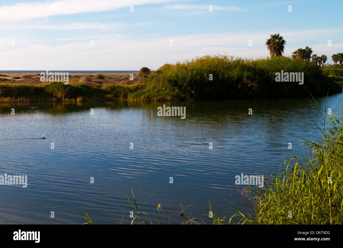 A lagoon by the ocean separated by a sandy beach Stock Photo - Alamy