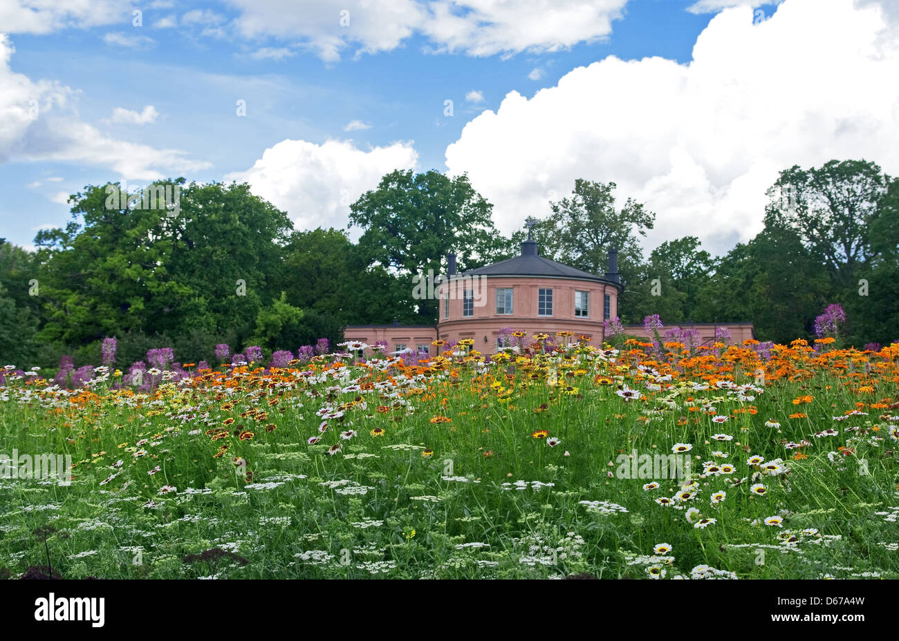 Wild flowers stockholm hi-res stock photography and images - Alamy