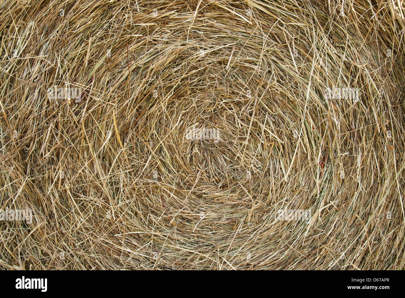 Hay bail macro hi-res stock photography and images - Alamy