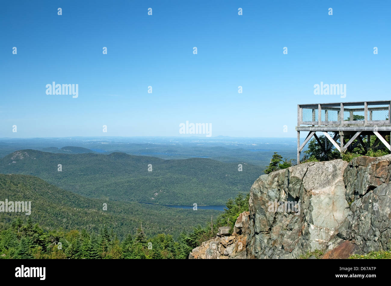 Spruce tree viewpoint hi-res stock photography and images - Alamy