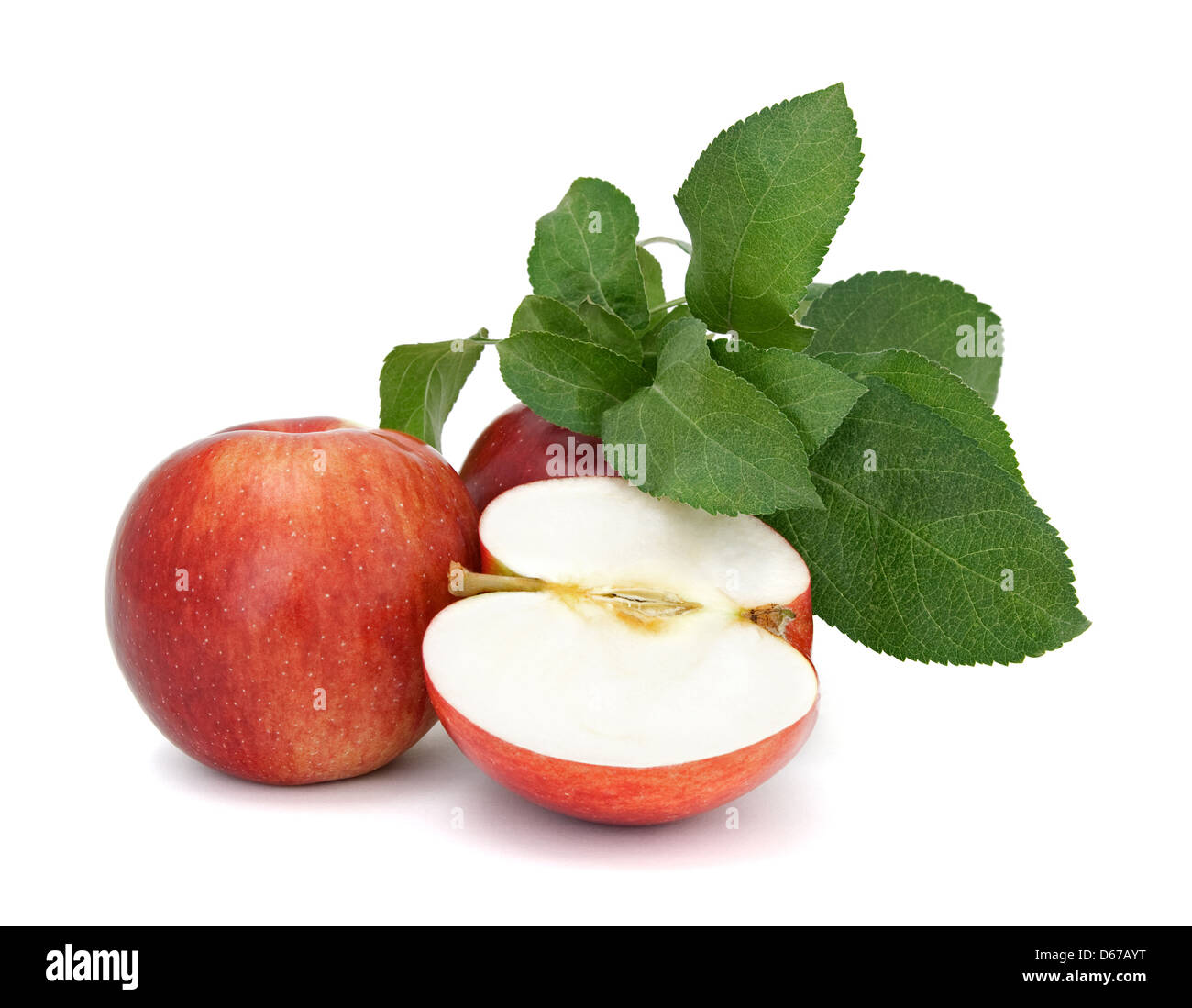 Red apples, one cut in half and one with leaves, on white background ...