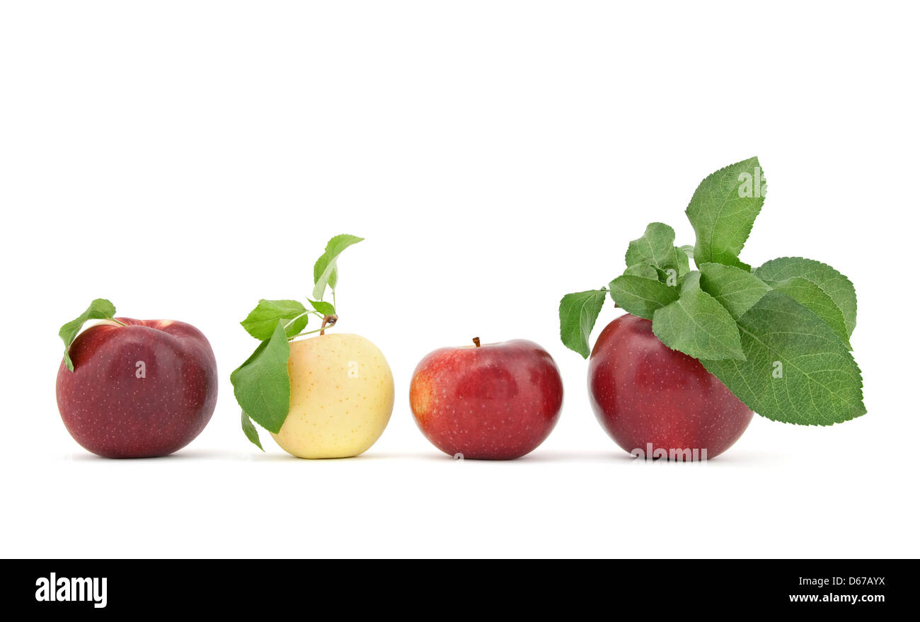 Row of ripe juicy apples with green leaves, isolated on white ...