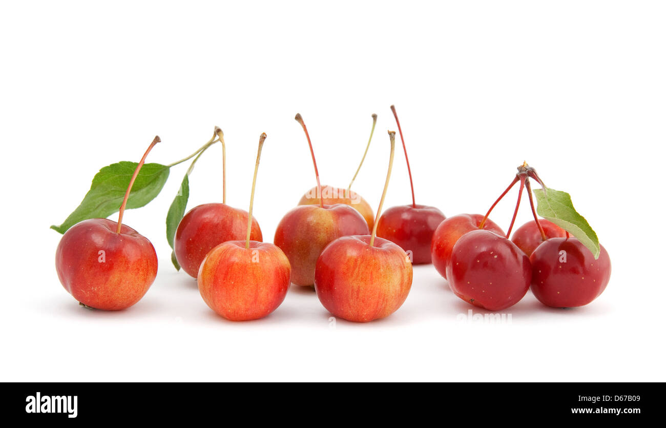 Chinese cherry apples with green leaves, isolated on white background ...