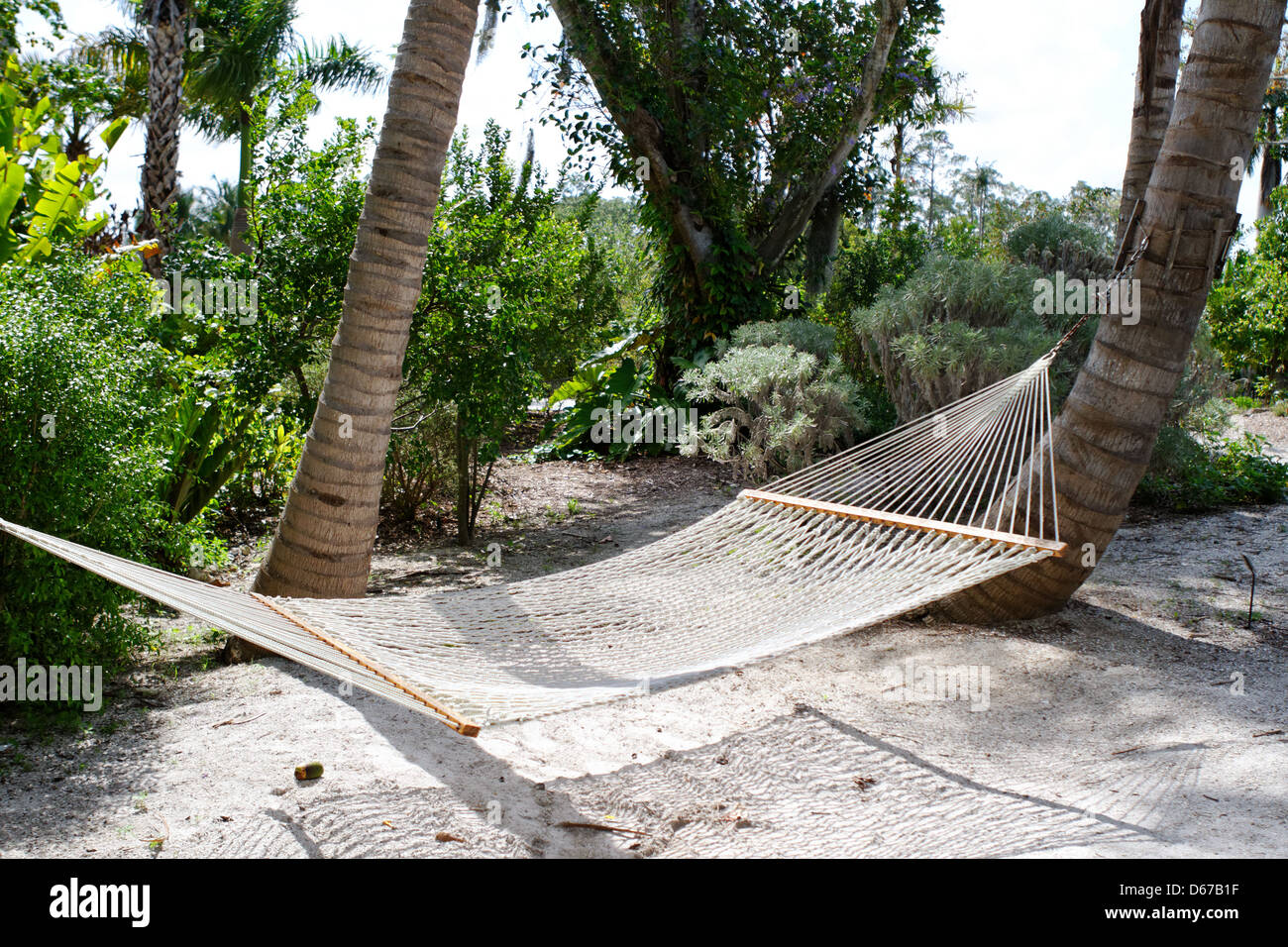 A relaxing rope hammock tied between two palm trees Stock Photo - Alamy A relaxing rope hammock tied between two palm trees Stock Photo - Alamy