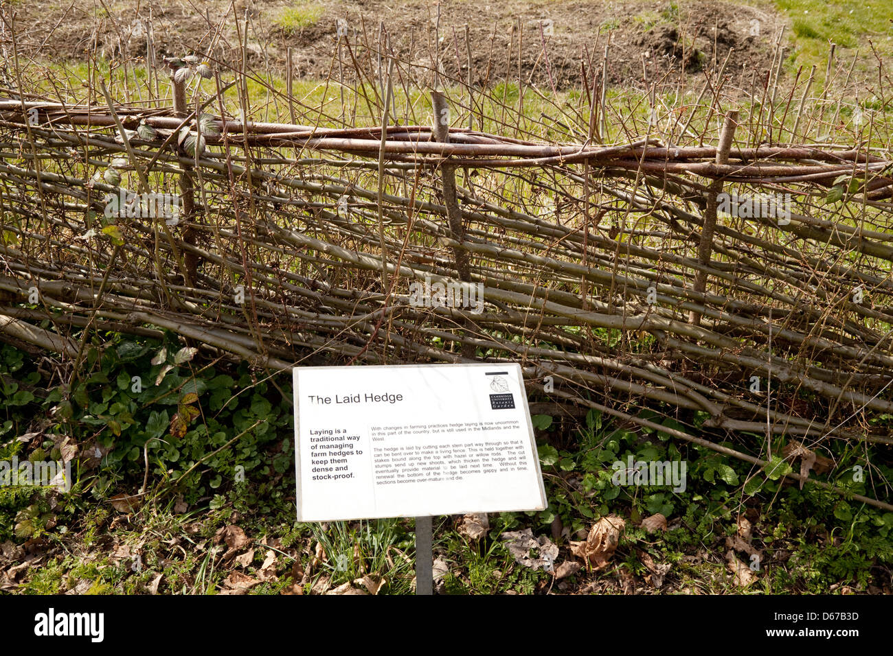 Hedging hi-res stock photography and images - Alamy