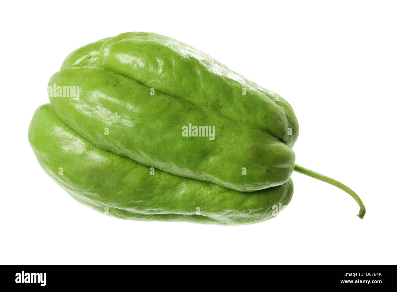 Christophene hi-res stock photography and images - Alamy